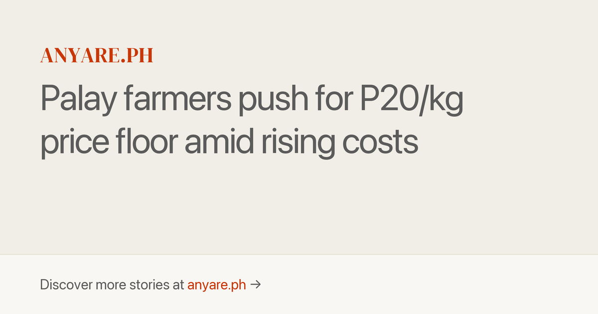 Palay farmers push for P20/kg price floor amid rising costs — Anyare.ph