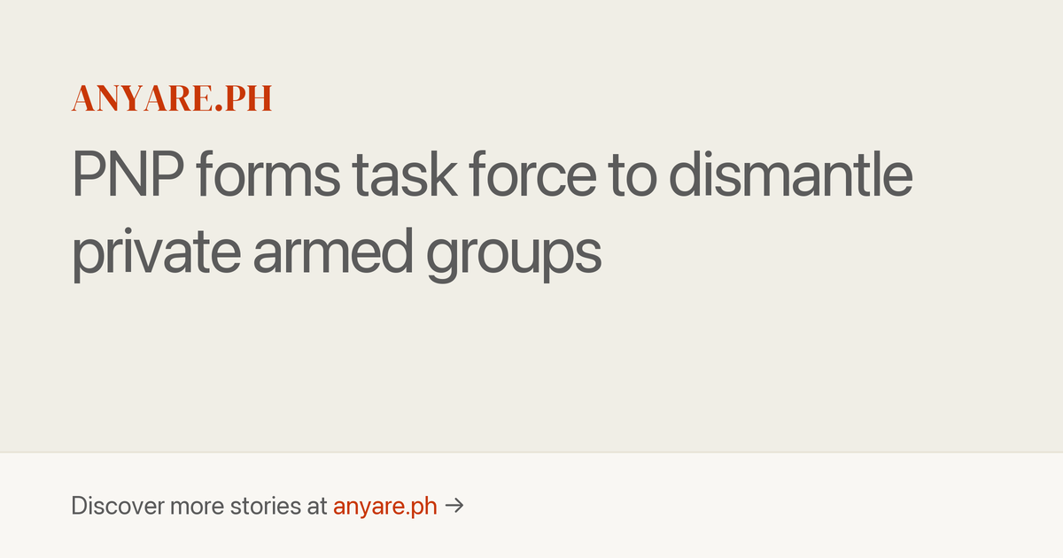 PNP forms task force to dismantle private armed groups — Anyare.ph